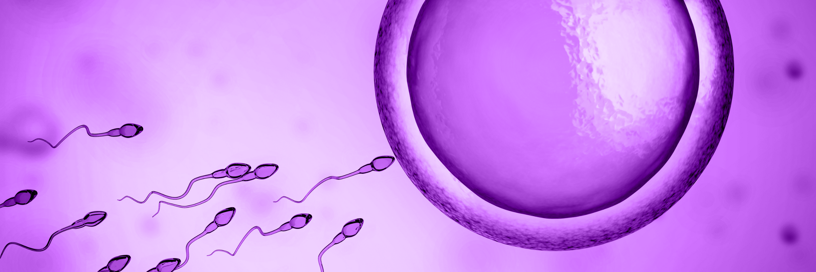 ZyMot Sperm Preparation | Mimicking Natural Selection | Care Fertility