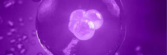 Endometrial Health | EMMA and ALICE Tests | Care Fertility