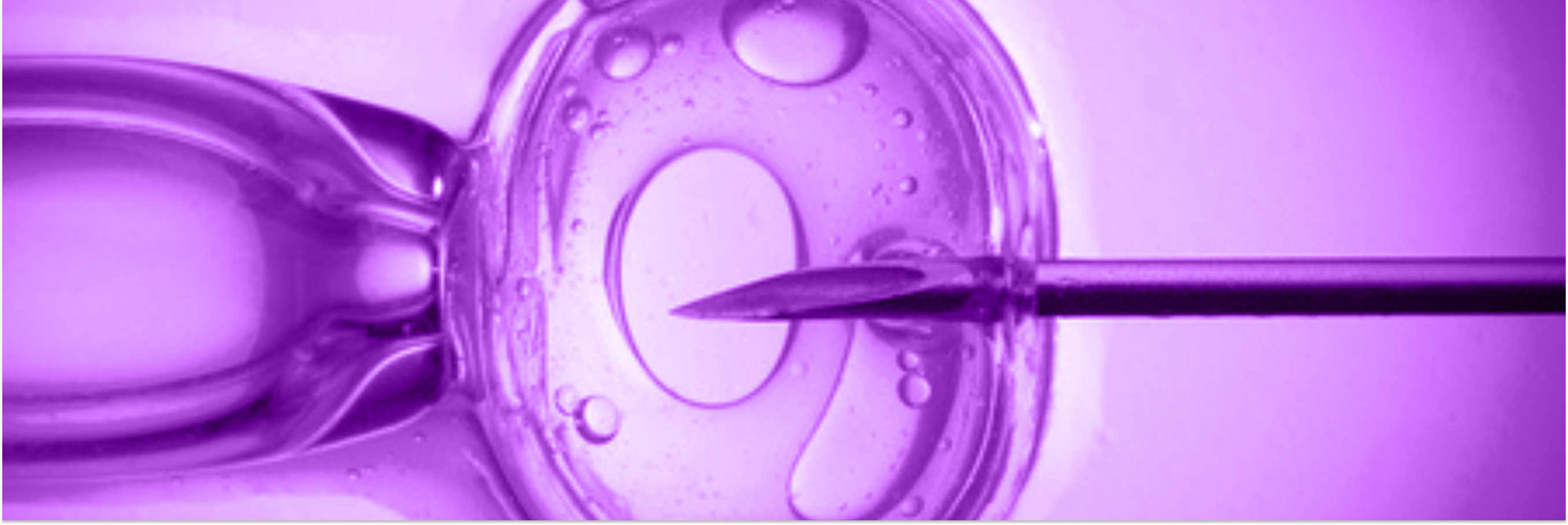 ICSI: Enhance Fertility Success | Care Fertility