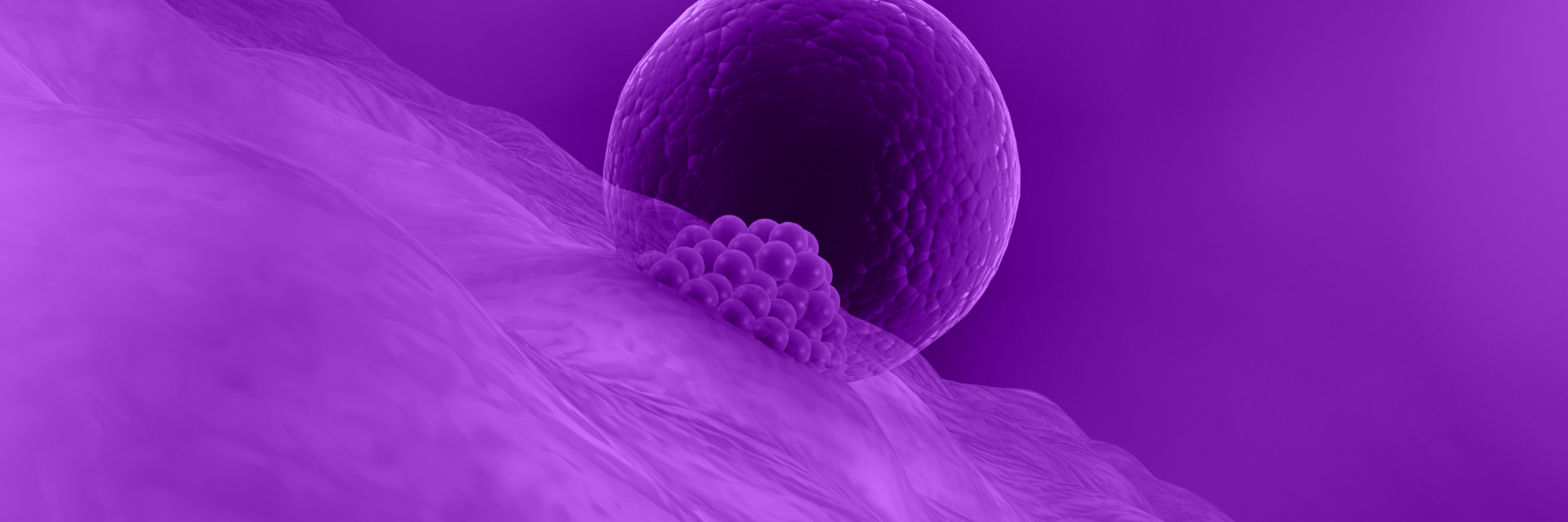 What to expect during embryo transfer | Care Fertility