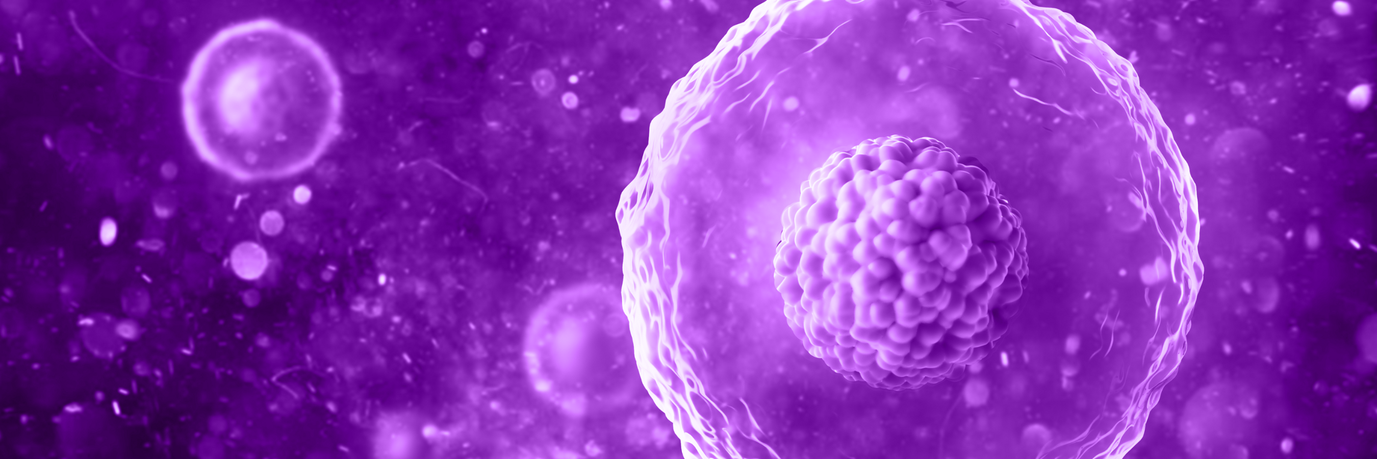 What makes a good embryo | Care Fertility