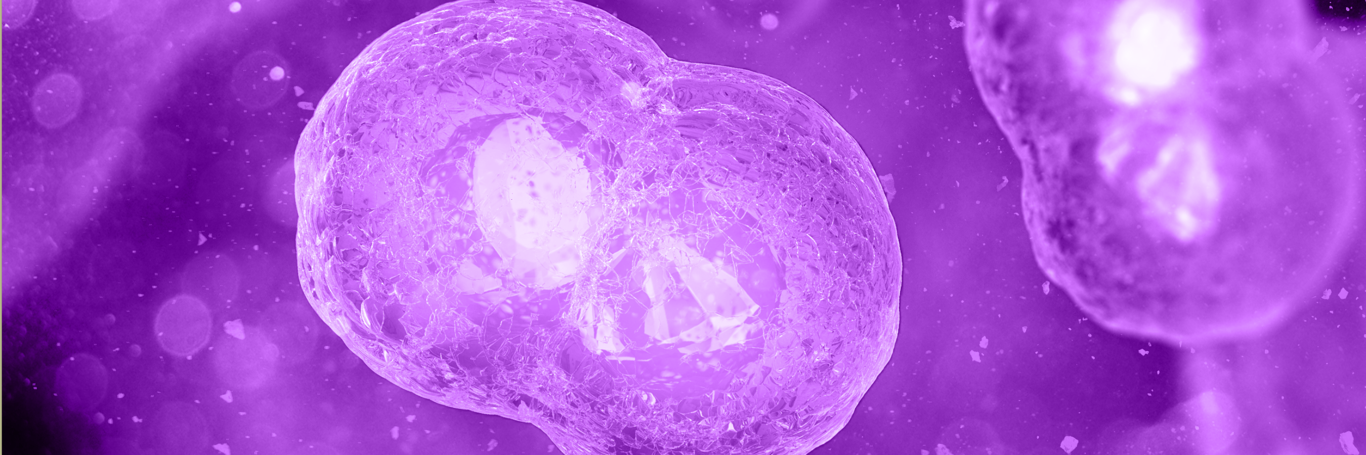 What is Embryo fragmentation | Care Fertility